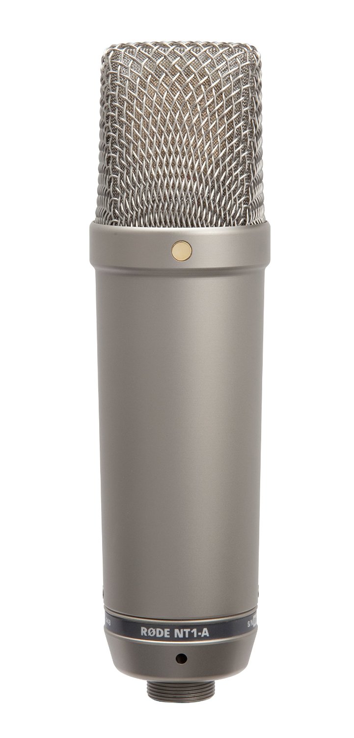 Top 7 Best Studio Microphones under $300 (Guide & Reviews) - GlobalDJsGuide